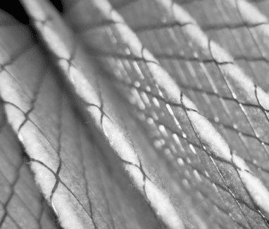 Toile filtrante presse - K2TEC